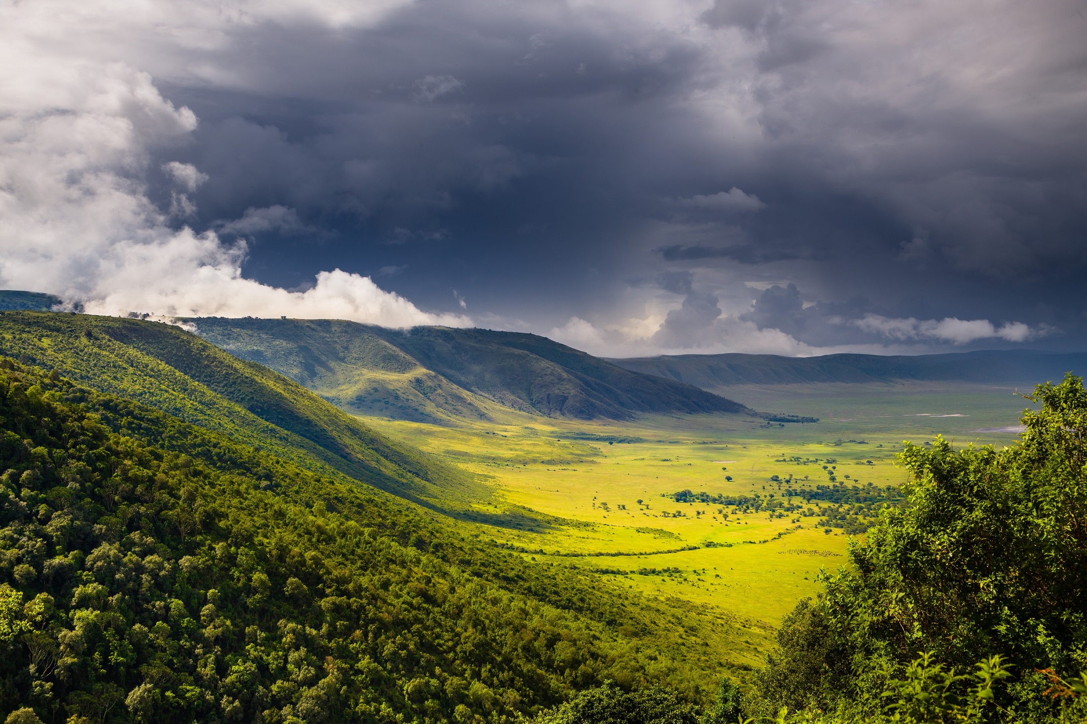 Traveller reviews > YOUR dream safari? Call Tanzania Specialist