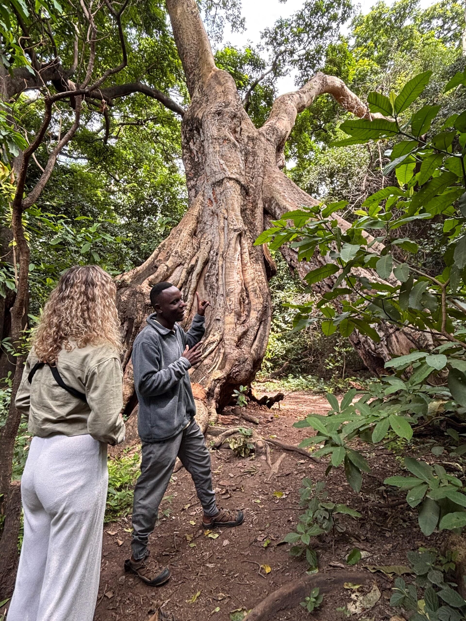 Lake Manyara National Park- travel tips l Tanzania Specialist