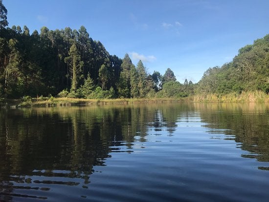 Mufindi Highlands | Tanzania Specialist