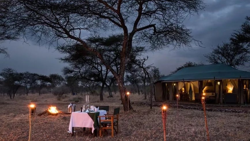 Bush dinner in the Serengeti | Tanzania Specialist