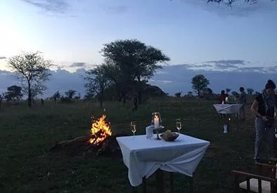 Bush dinner in the Serengeti | Tanzania Specialist