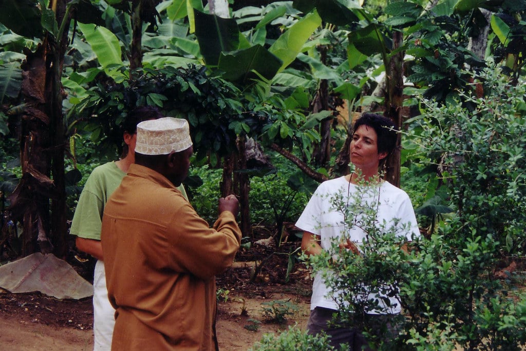 Half day tour on a spice farm | Tanzania Specialist