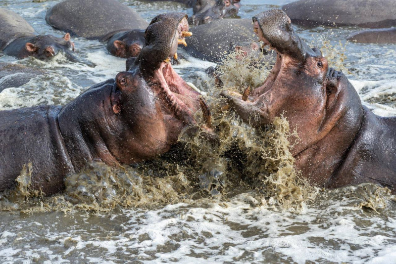 Lake Manyara National Park | Tanzania Specialist