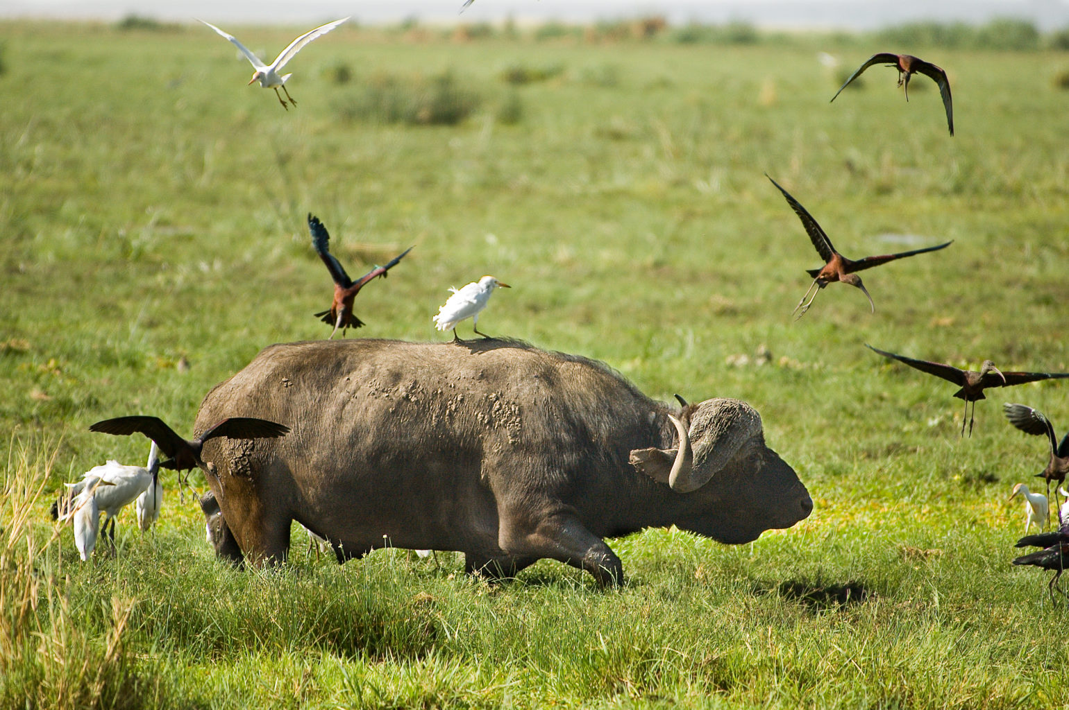 Lake Manyara National Park | Tanzania Specialist