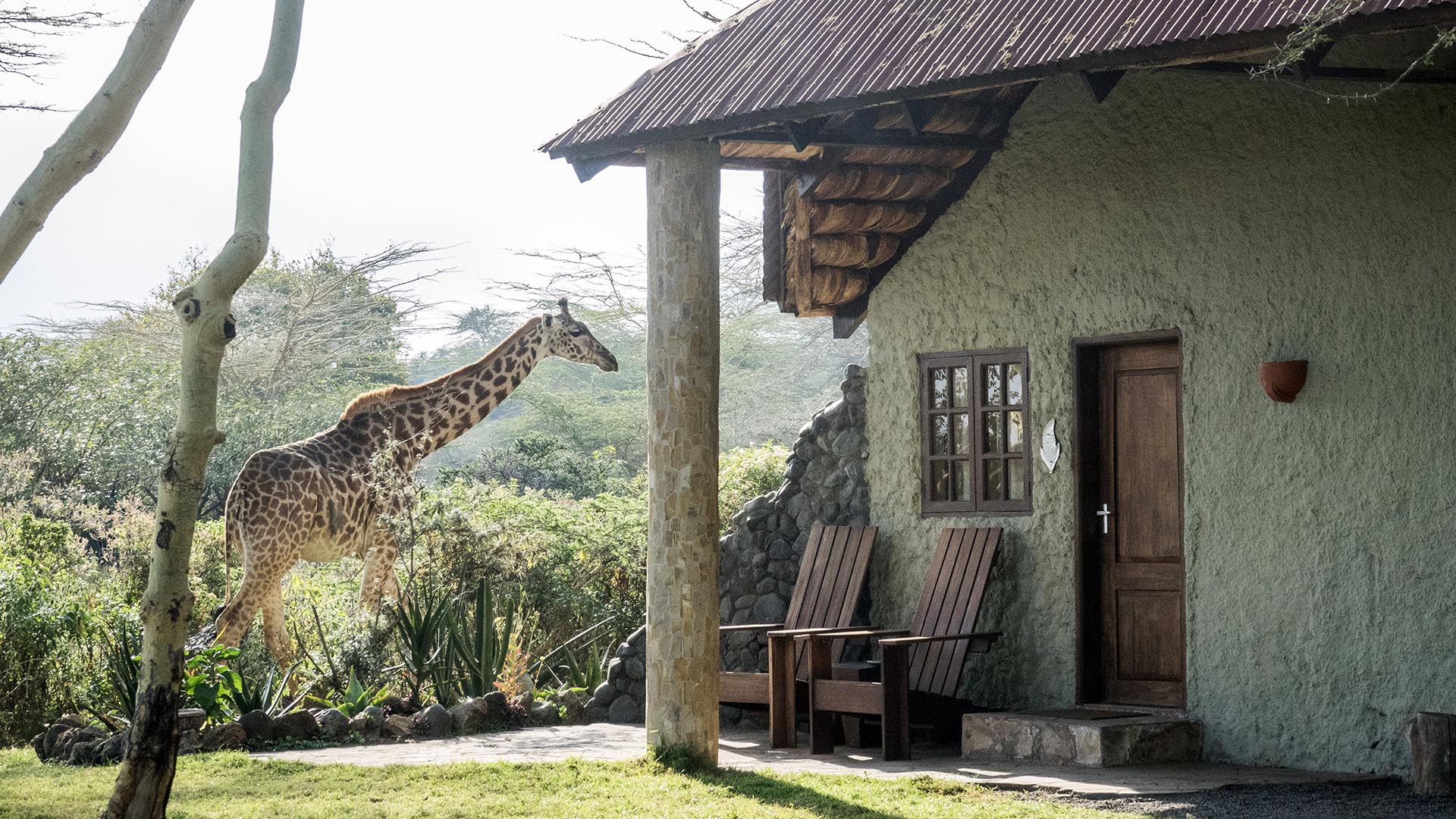 Hatari Lodge | Tanzania Specialist