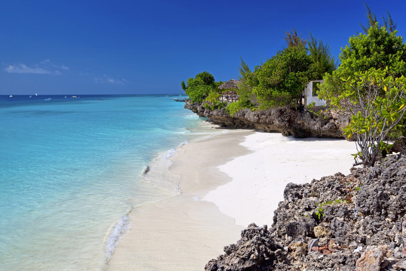 Arrival in Zanzibar | Tanzania Specialist