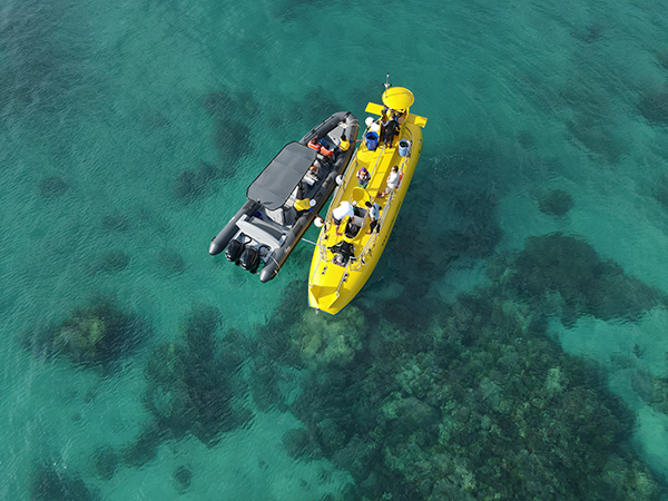 Semi-Submarine Experience - the Classic Reef Tour to corals & reef ...