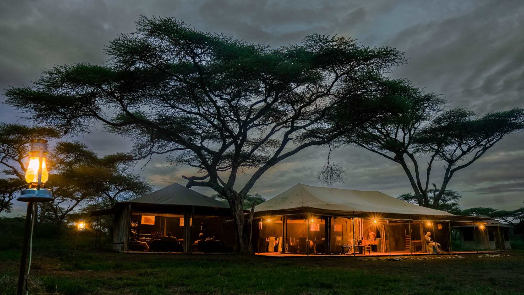 Ang'ata Migration - Bologonja Camp (north) | Tanzania Specialist