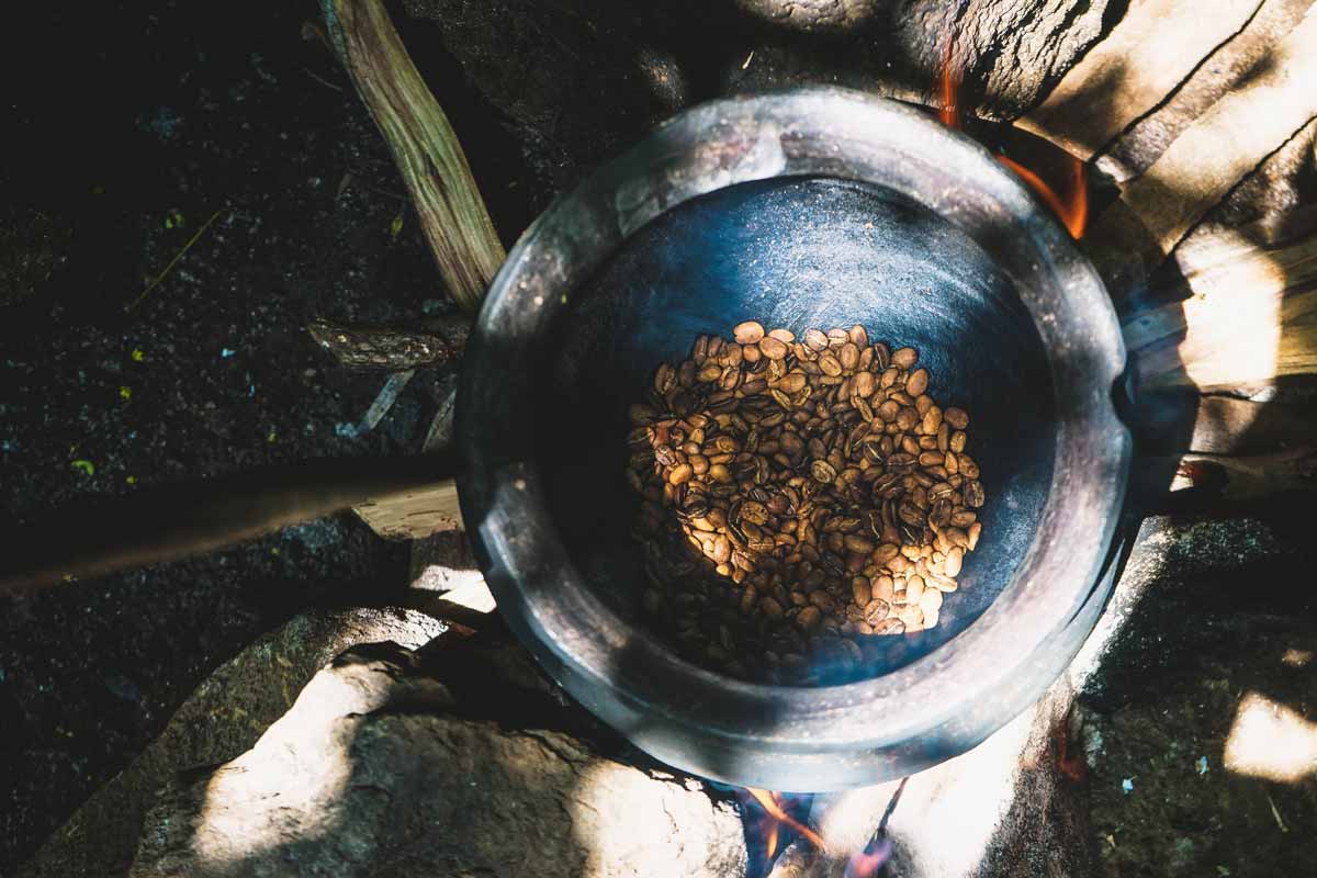 Visit a coffee plantation in Arusha | Tanzania Specialist