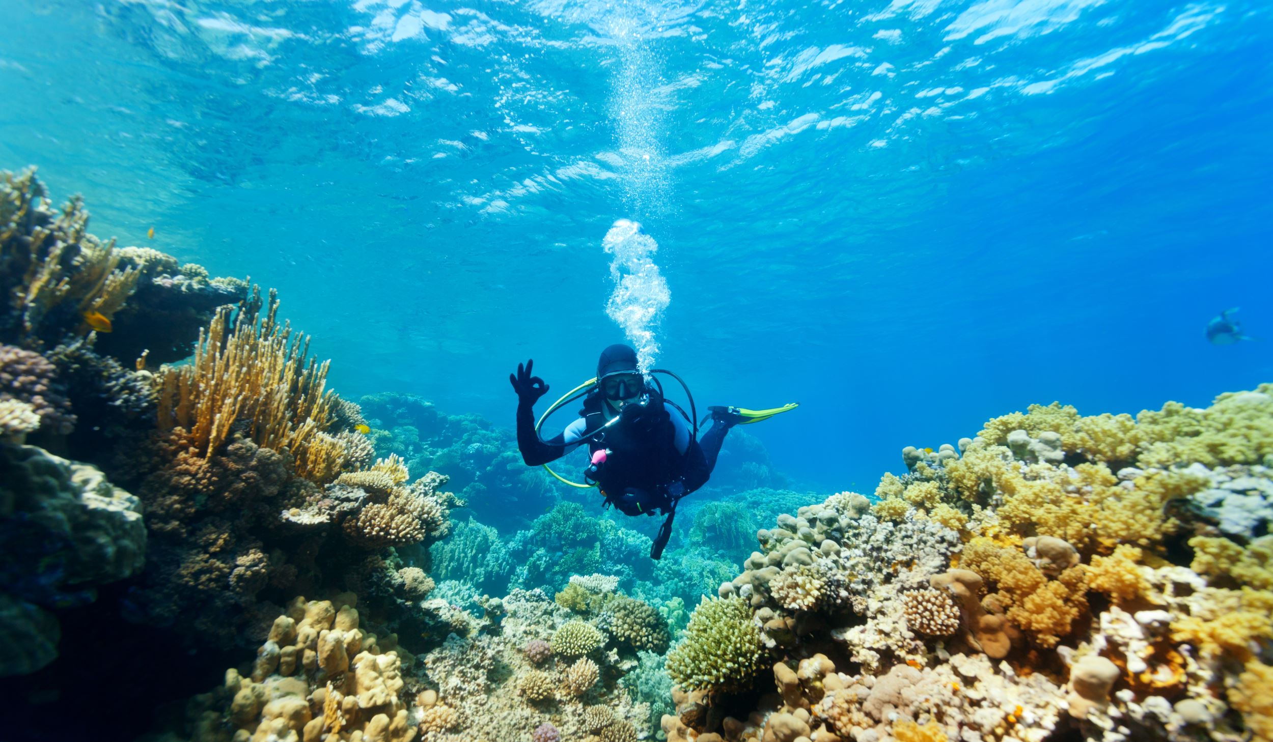 Visit the islands near Unguja Ukuu | Tanzania Specialist