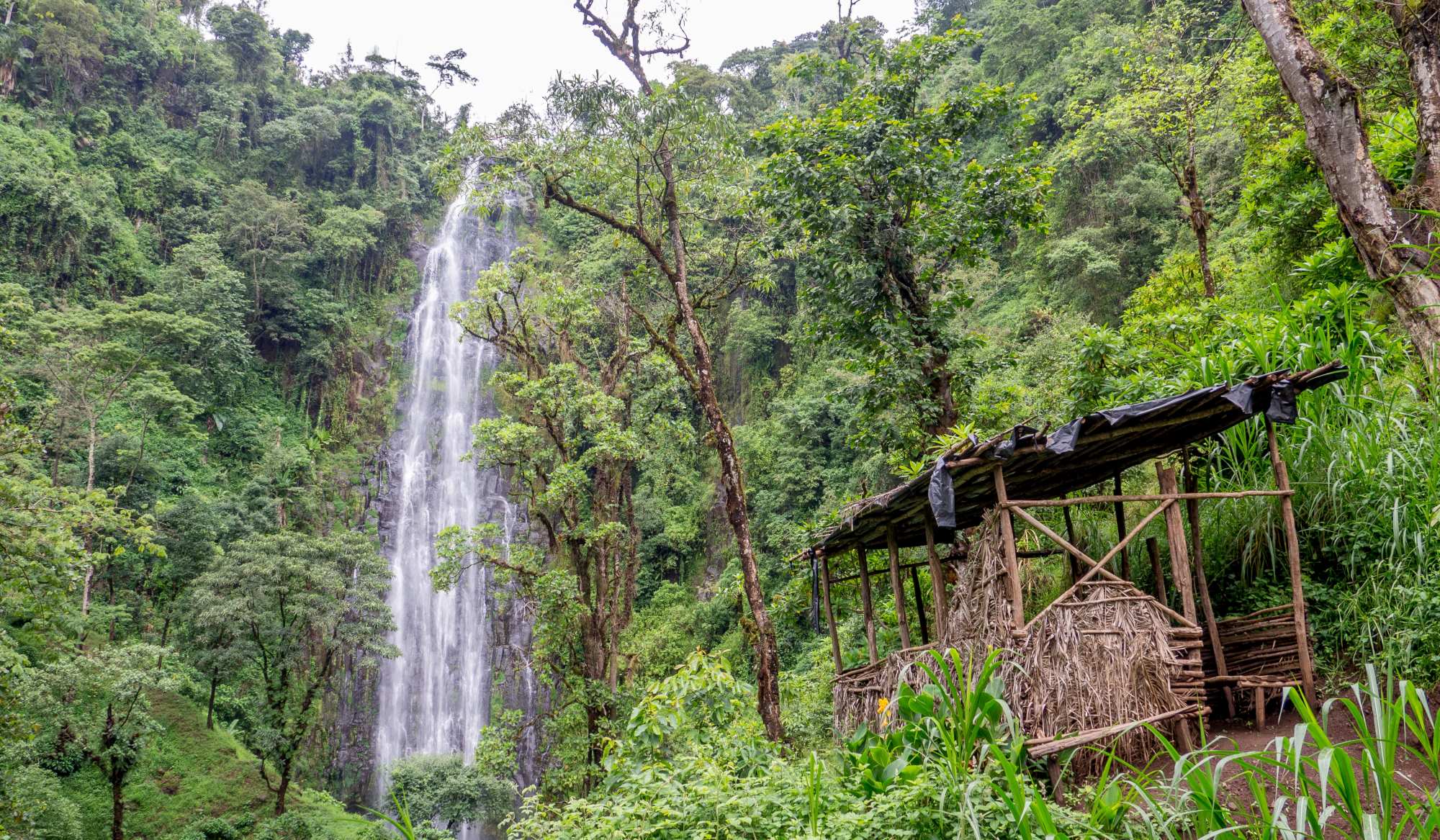 Walk from Materuni village to Kuringe waterfall | Tanzania Specialist