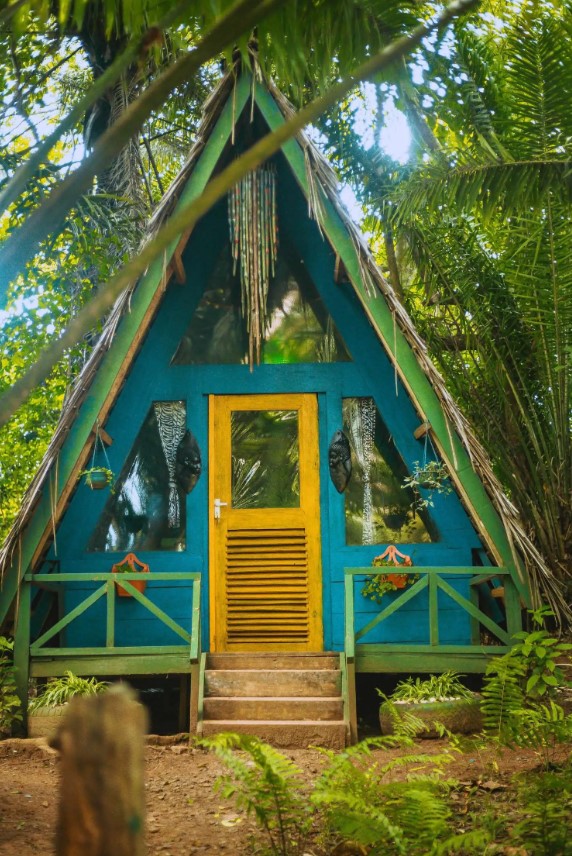 Magoroto Forest Estate - Tanzania Specialist