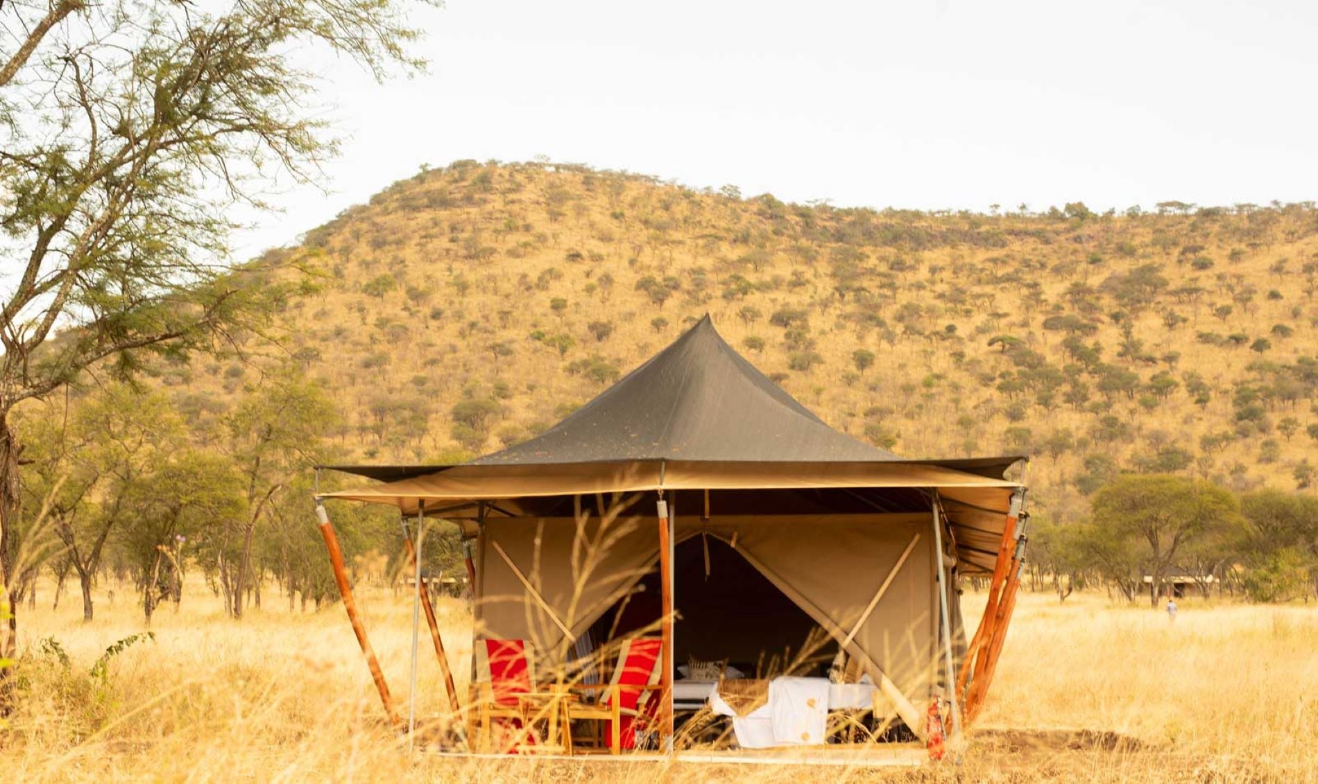Golden Safari Camps - Tanzania Specialist