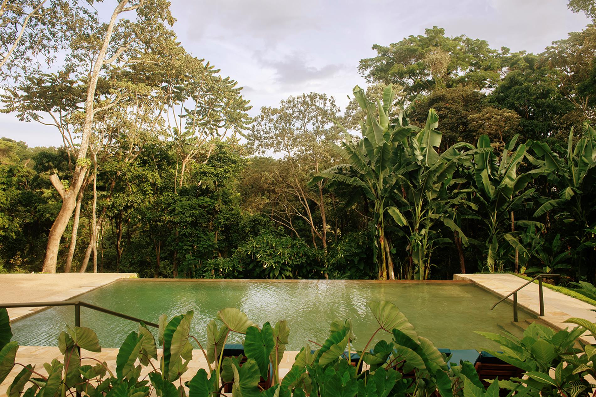 Kilimanjaro Coffee Lodge | Tanzania Specialist