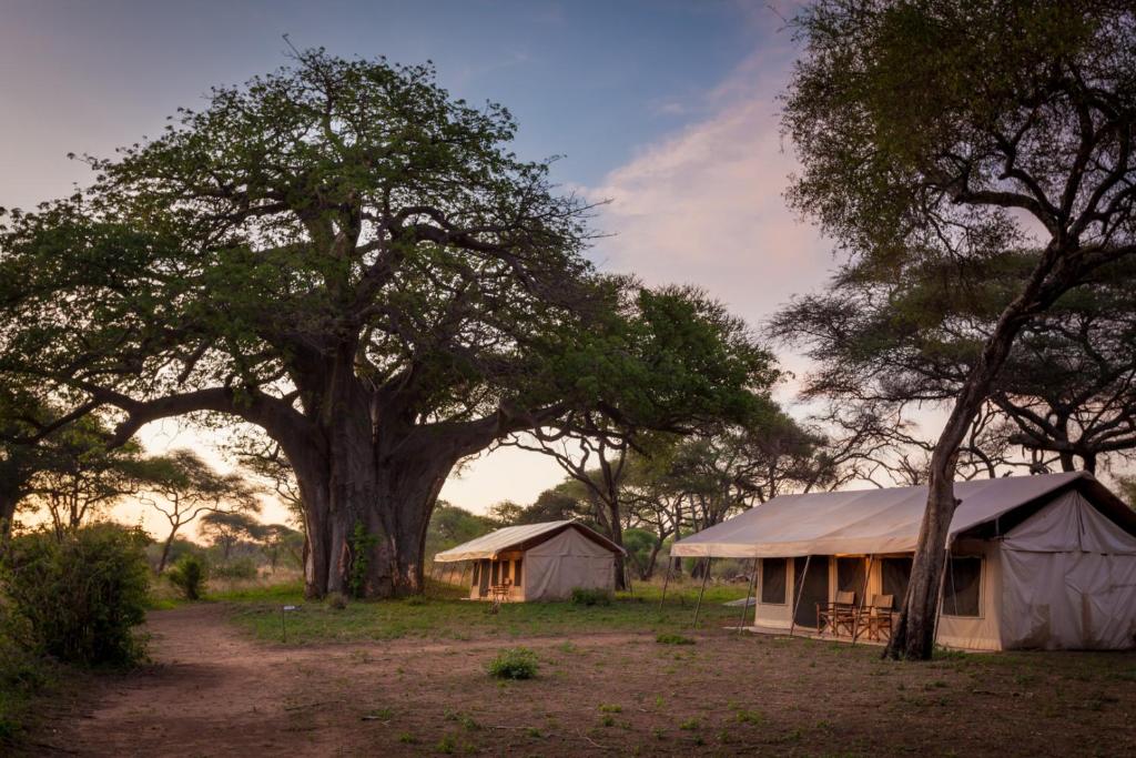 Tarangire Baobab Tented Camp by Mawe Lodges - Tanzania Specialist