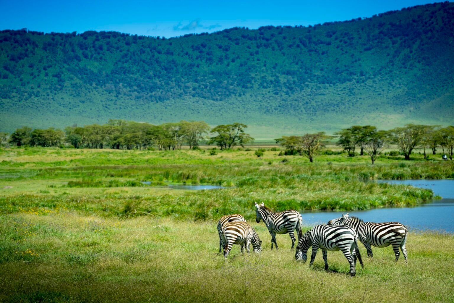 Tanzania Tours: 30+ Affordable Tour Packages