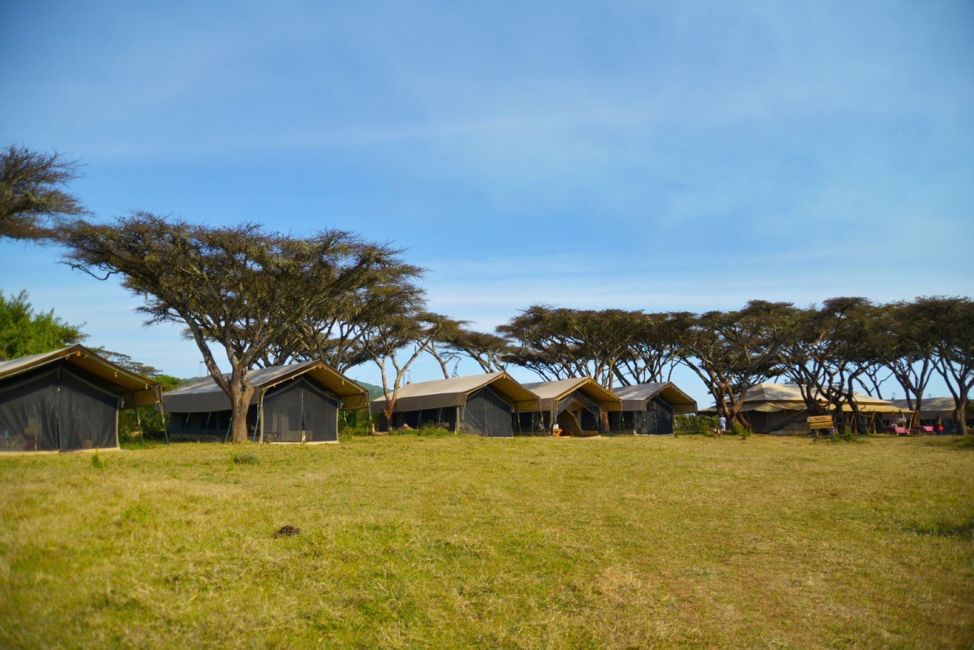 Ngorongoro Kuhama Camp by TNS Hospitality | Tanzania Specialist