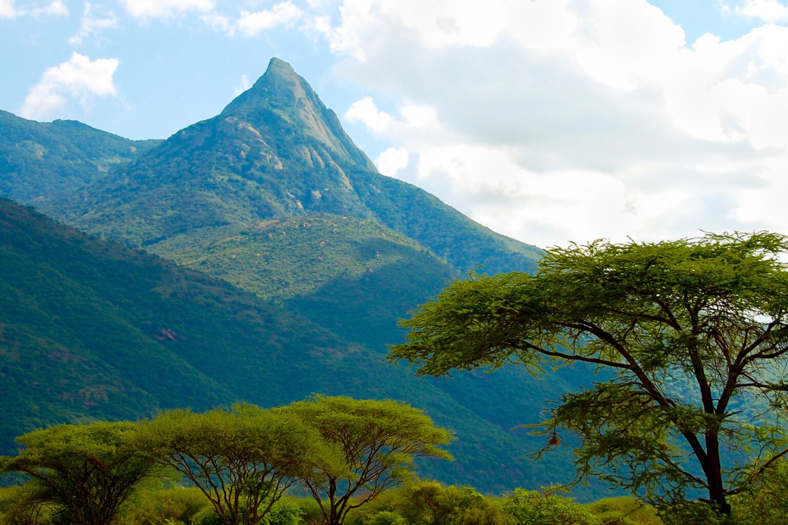 10+ Things to See and Do in Arusha
