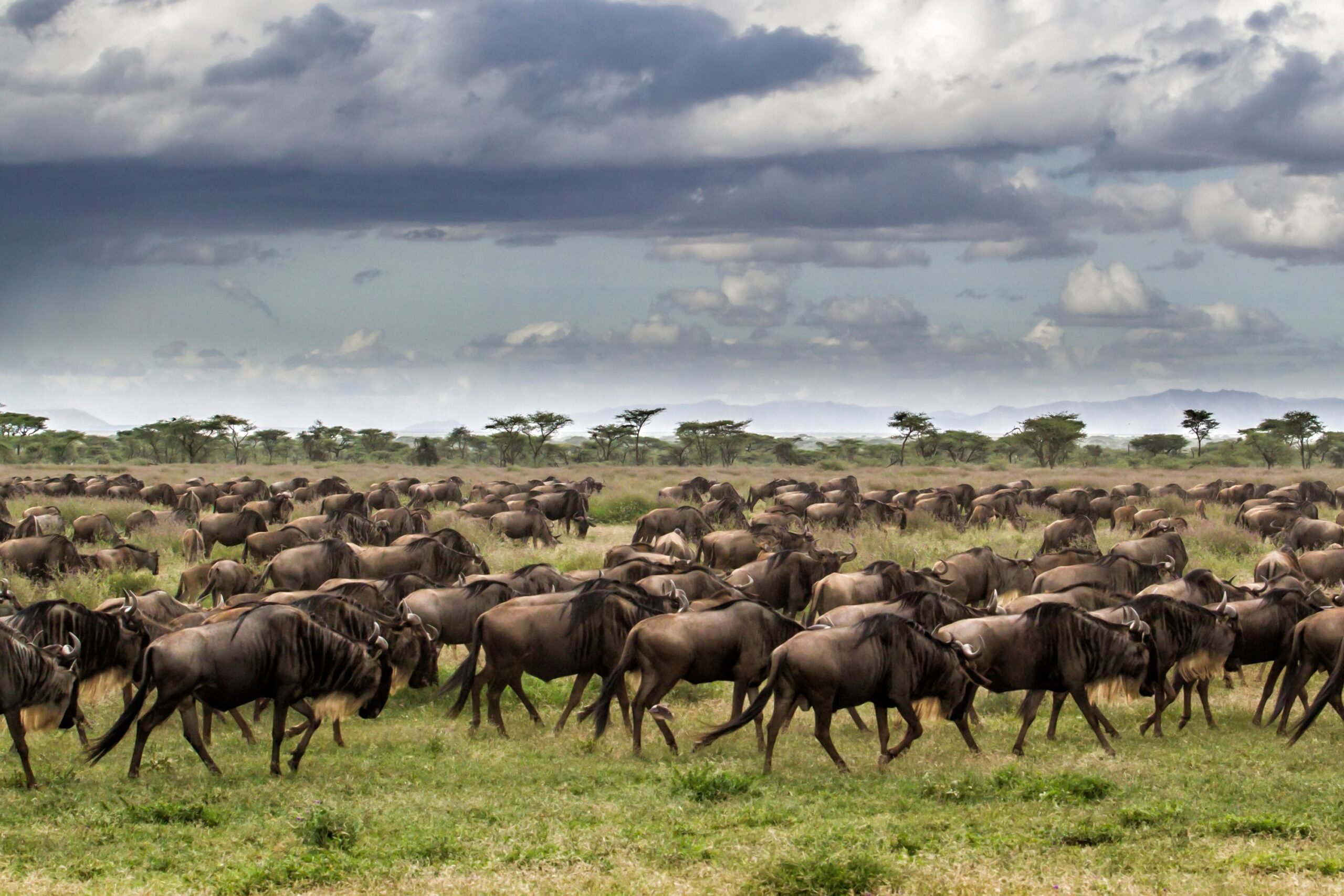 20 best Tourist Attractions in Tanzania – Complete Guide [2023]