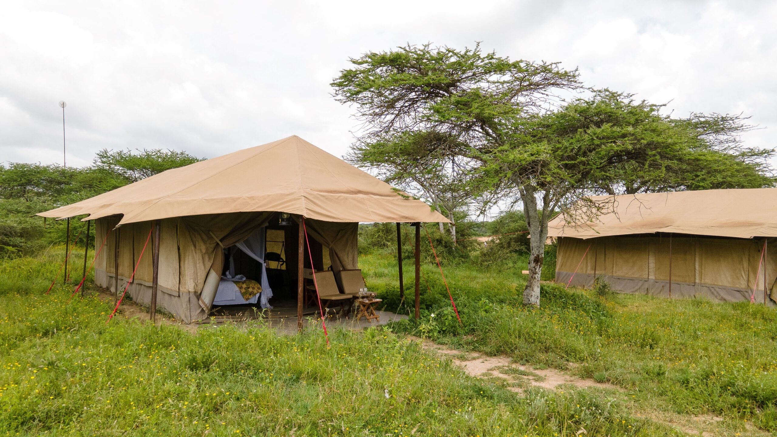 Kenzan Tented Camp - Ndutu | Tanzania Specialist