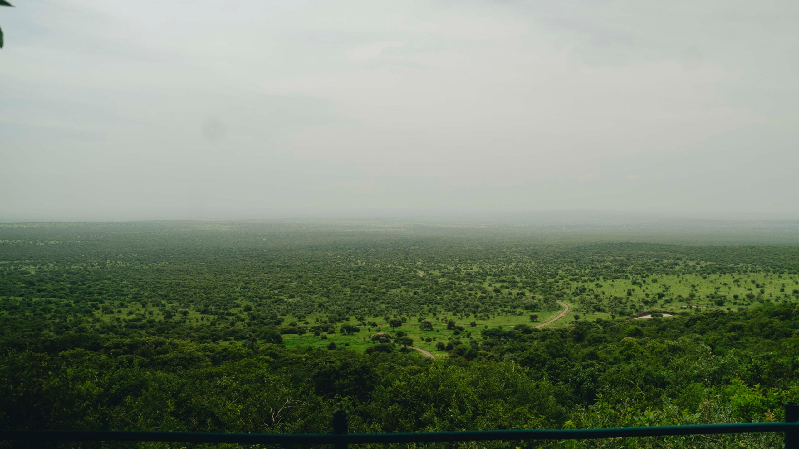 Makuyuni Wildlife Park | Tanzania Specialist