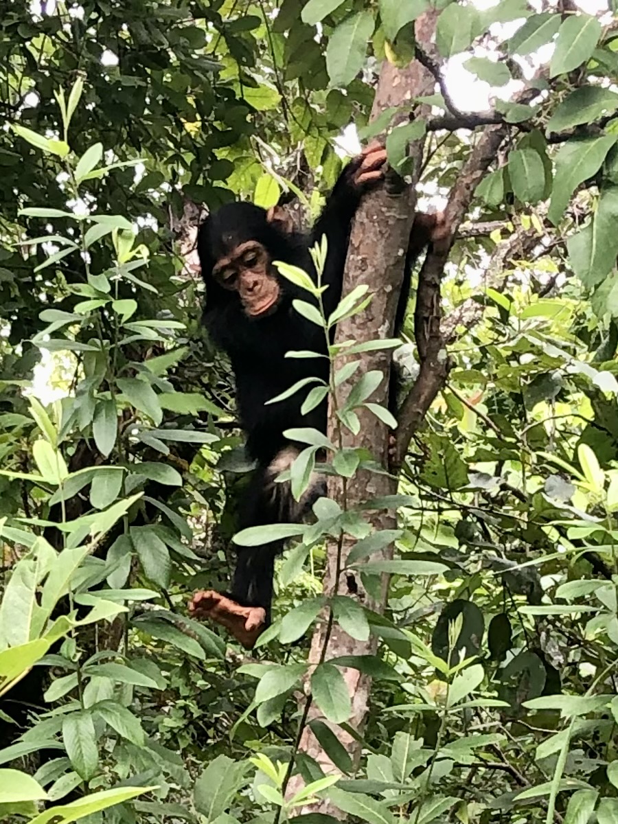 Meet Elke: Safari Writer, Translator & Southern Tanzania Expert